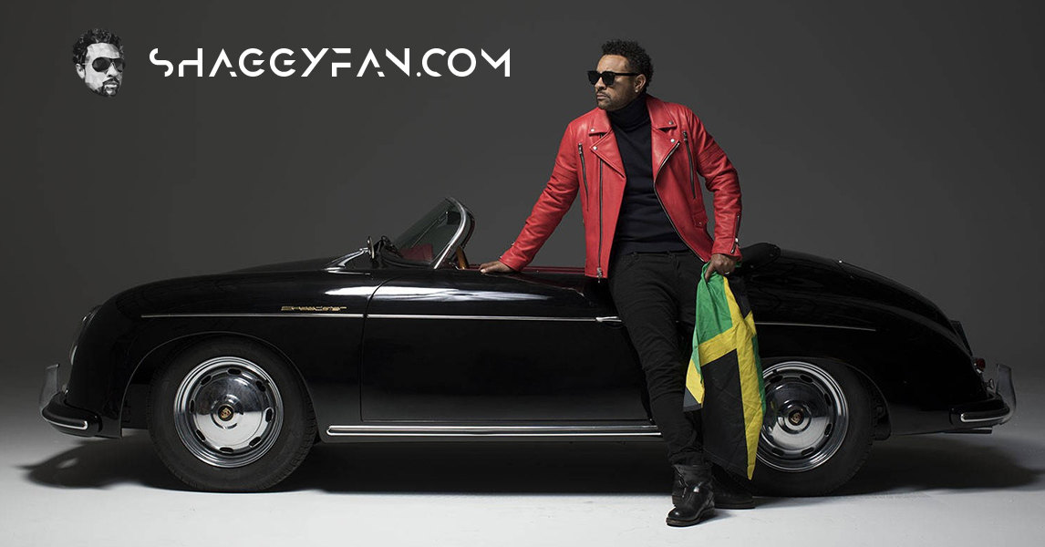 Home | Shaggyfan.com